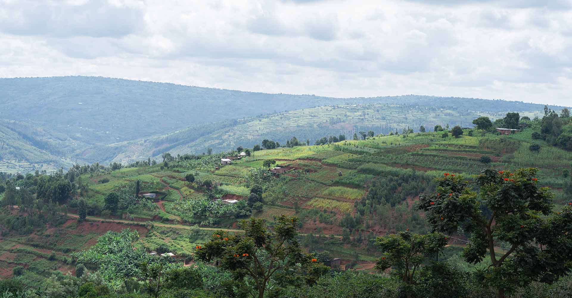 Environment and climate | The Kvinna till Kvinna Foundation